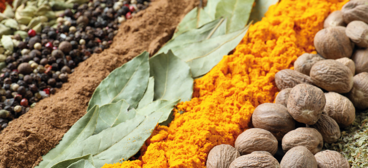 Sustainable Spice Sourcing Harris Spice