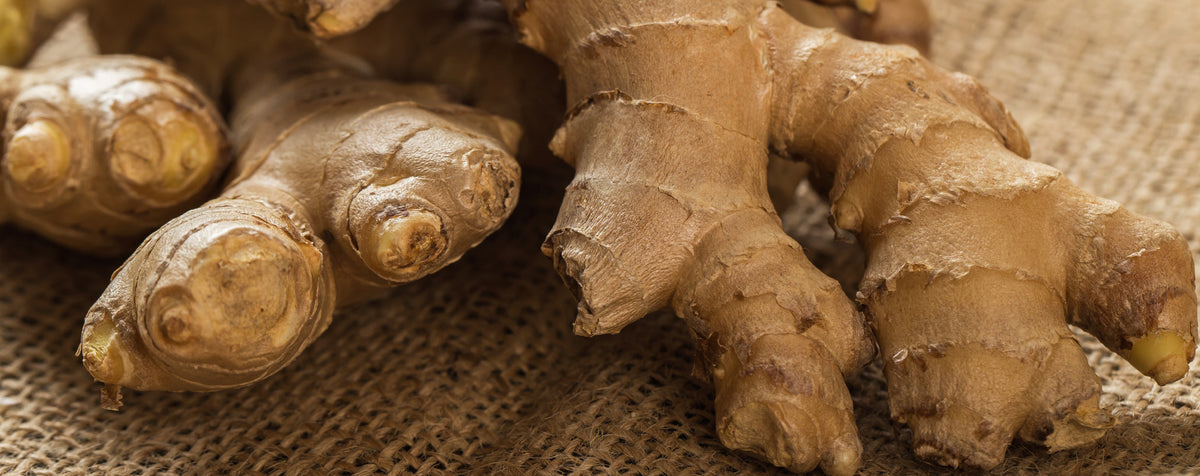 Ginger – Harris Spice